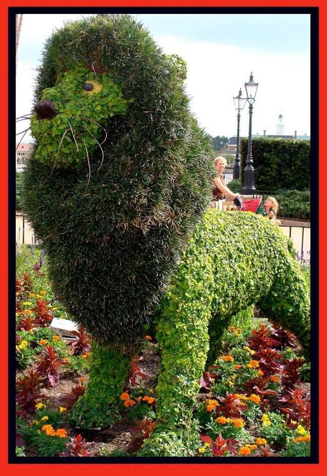23 Amazing Topiary Garden Ideas To Try This Year | SharonSable