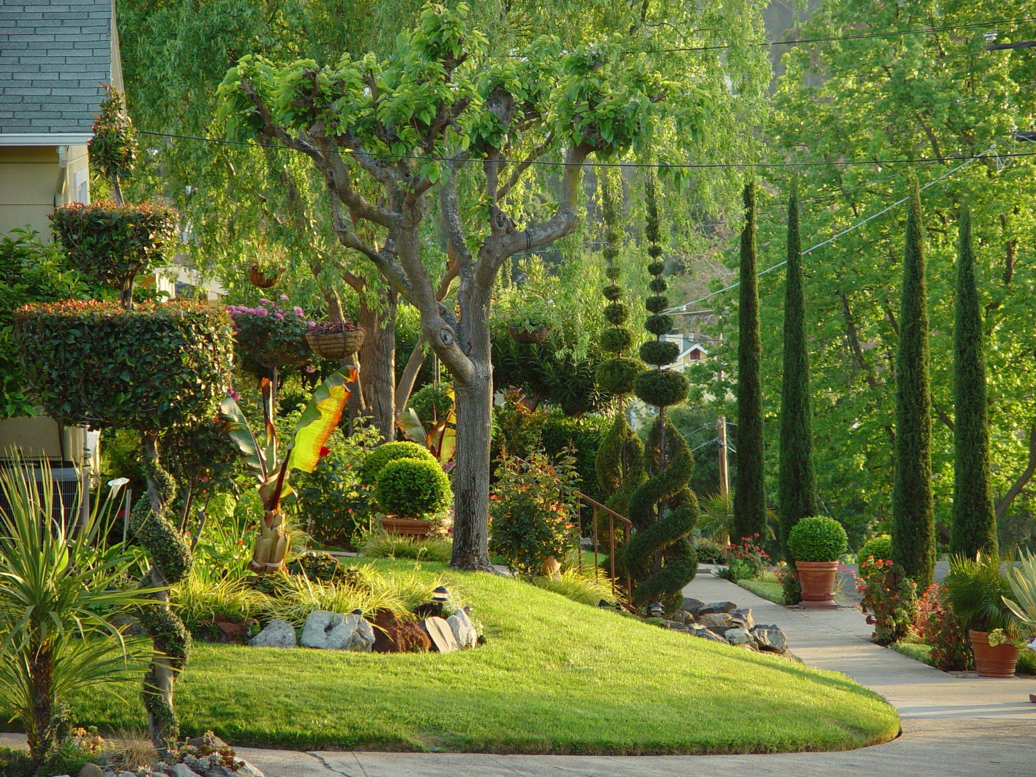 23 Amazing Topiary Garden Ideas To Try This Year | SharonSable