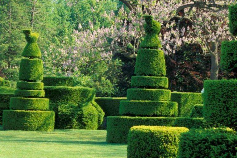 23 Amazing Topiary Garden Ideas To Try This Year | SharonSable