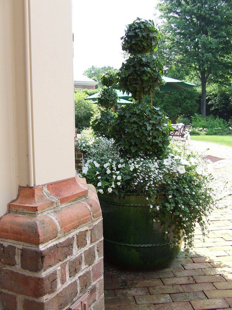 21 Topiary Garden Pots Ideas You Cannot Miss | SharonSable