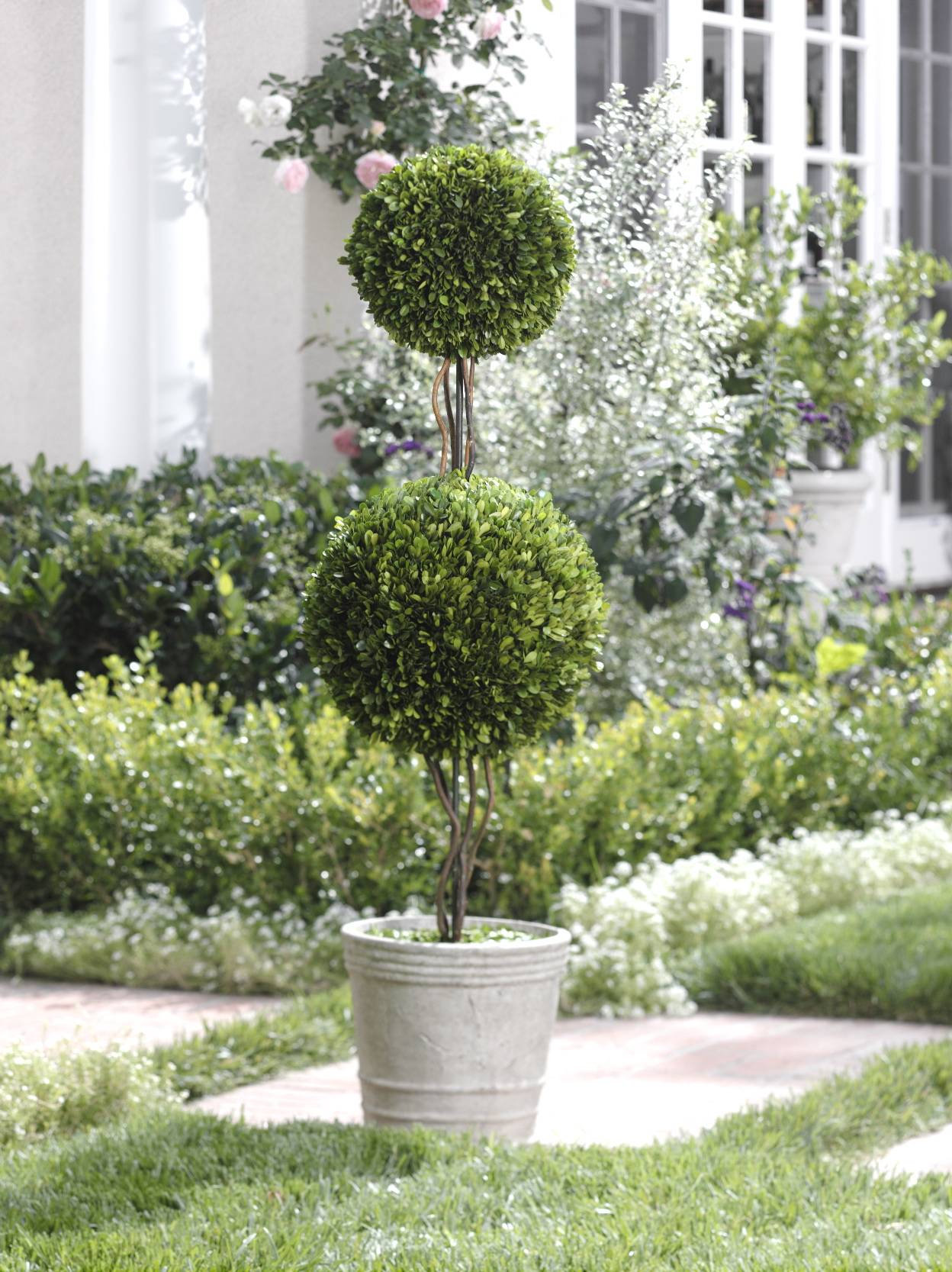 21 Topiary Garden Pots Ideas You Cannot Miss | SharonSable