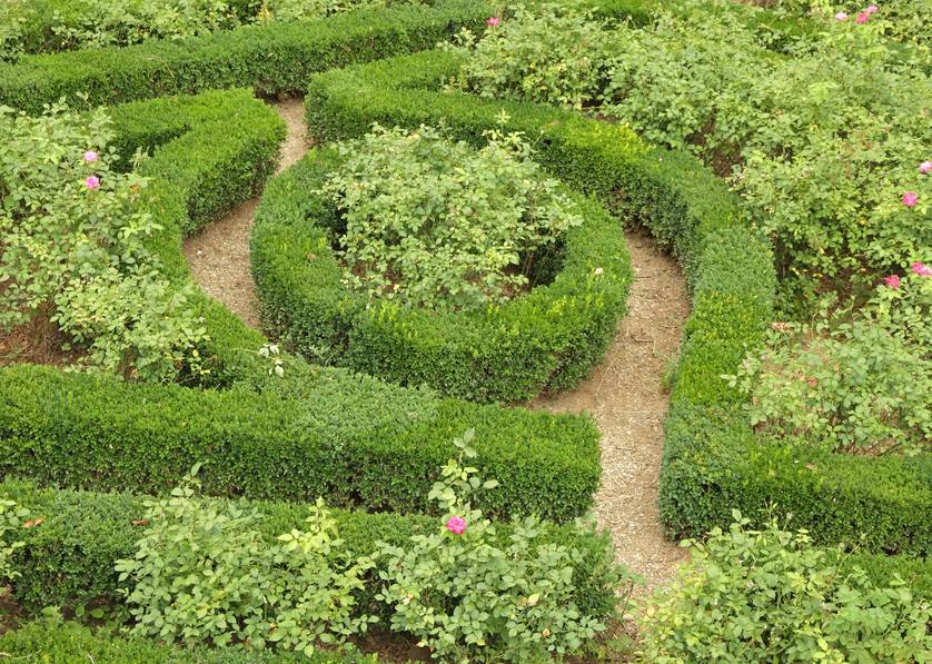 22 Maze Garden Plans Ideas You Should Look | SharonSable