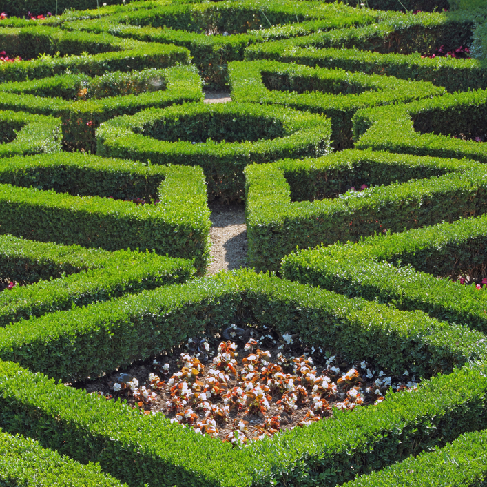22 Maze Garden Plans Ideas You Should Look | SharonSable