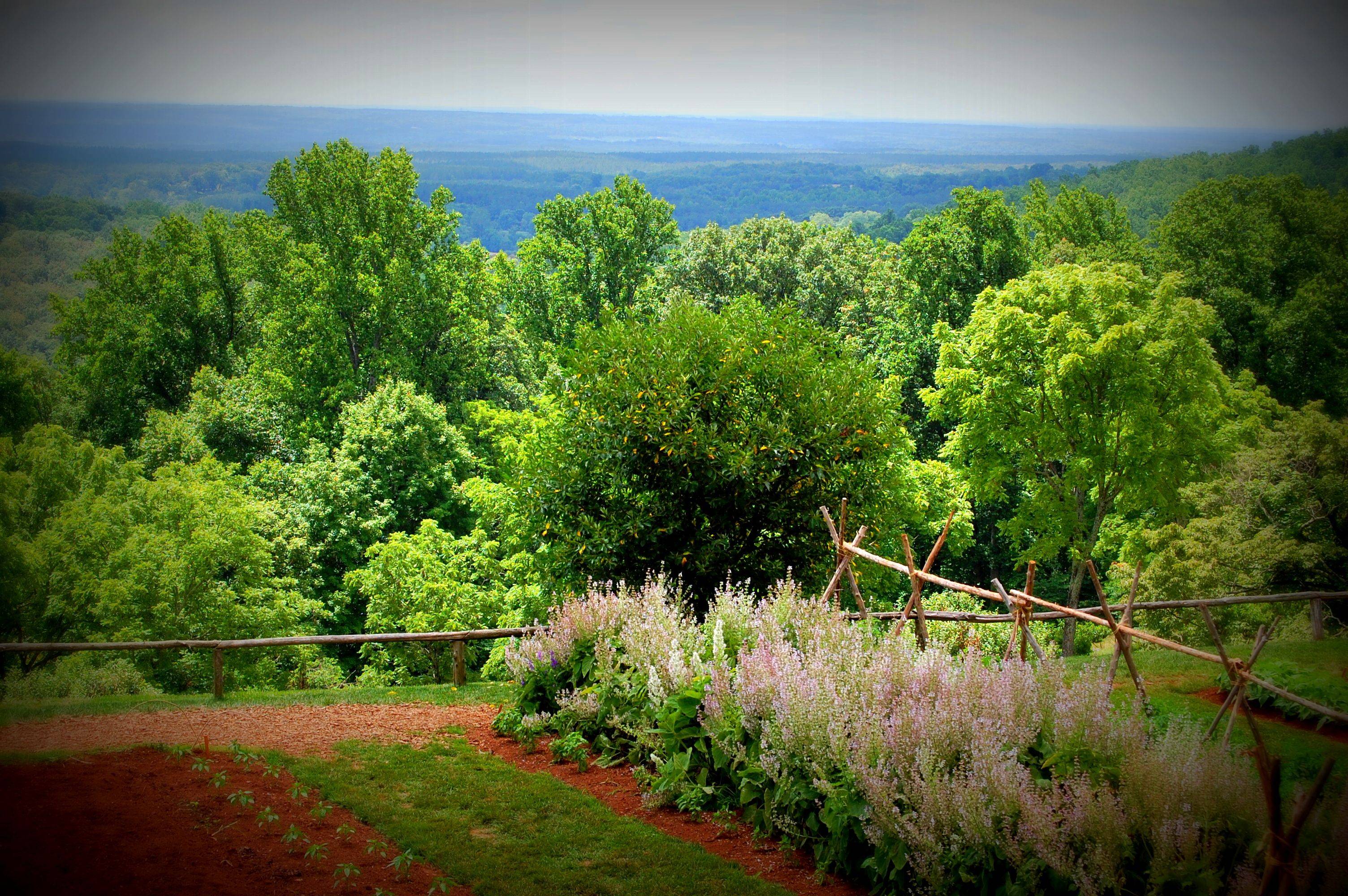 19 Monticello Garden Ideas You Gonna Love | SharonSable