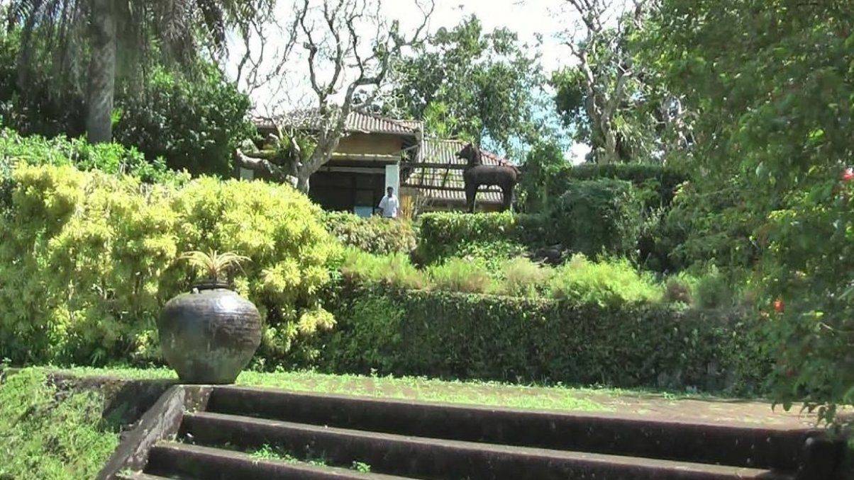 23 Brief Garden Sri Lanka Ideas For This Year | SharonSable