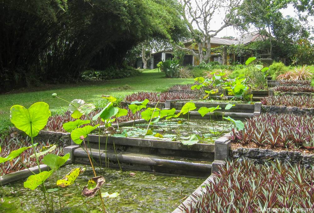 23 Brief Garden Sri Lanka Ideas For This Year | SharonSable