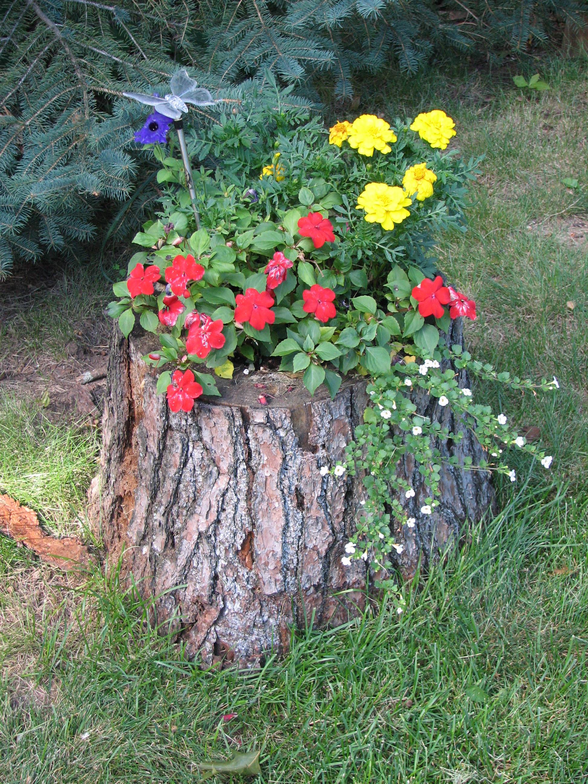 16 Tree Trunk Garden Ideas To Try This Year | SharonSable