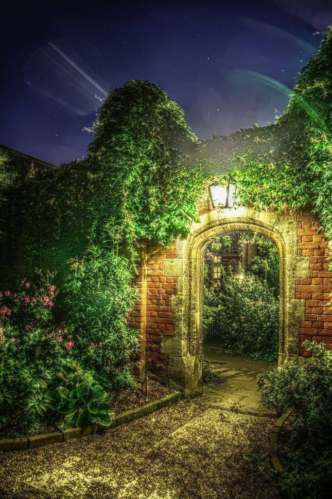 29 Secret Garden Wallpaper Ideas To Consider | SharonSable