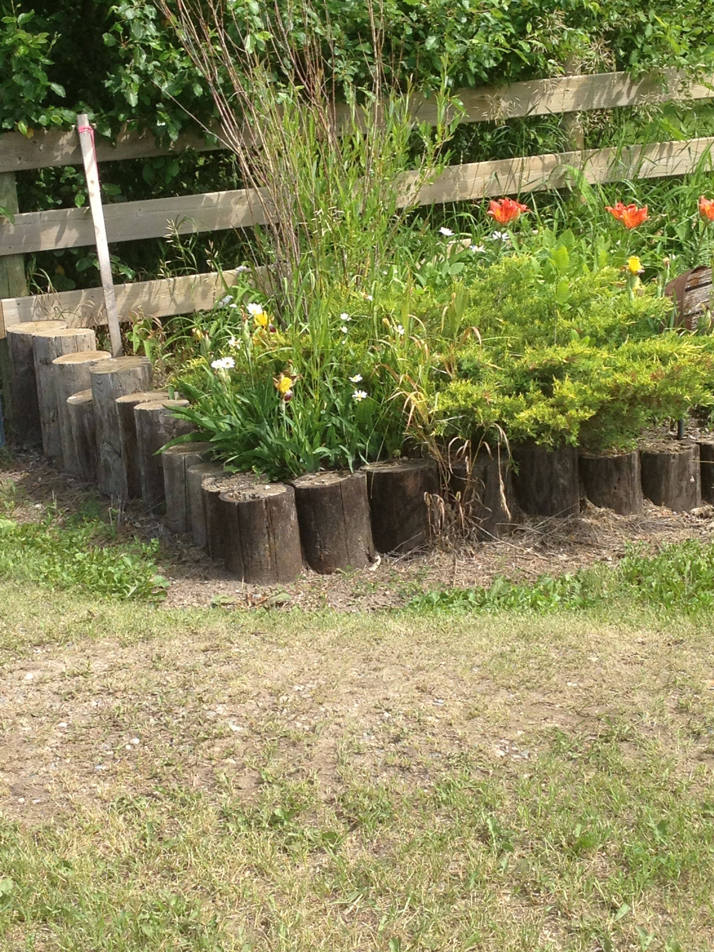 21 Log Garden Bed Ideas You Gonna Love | SharonSable