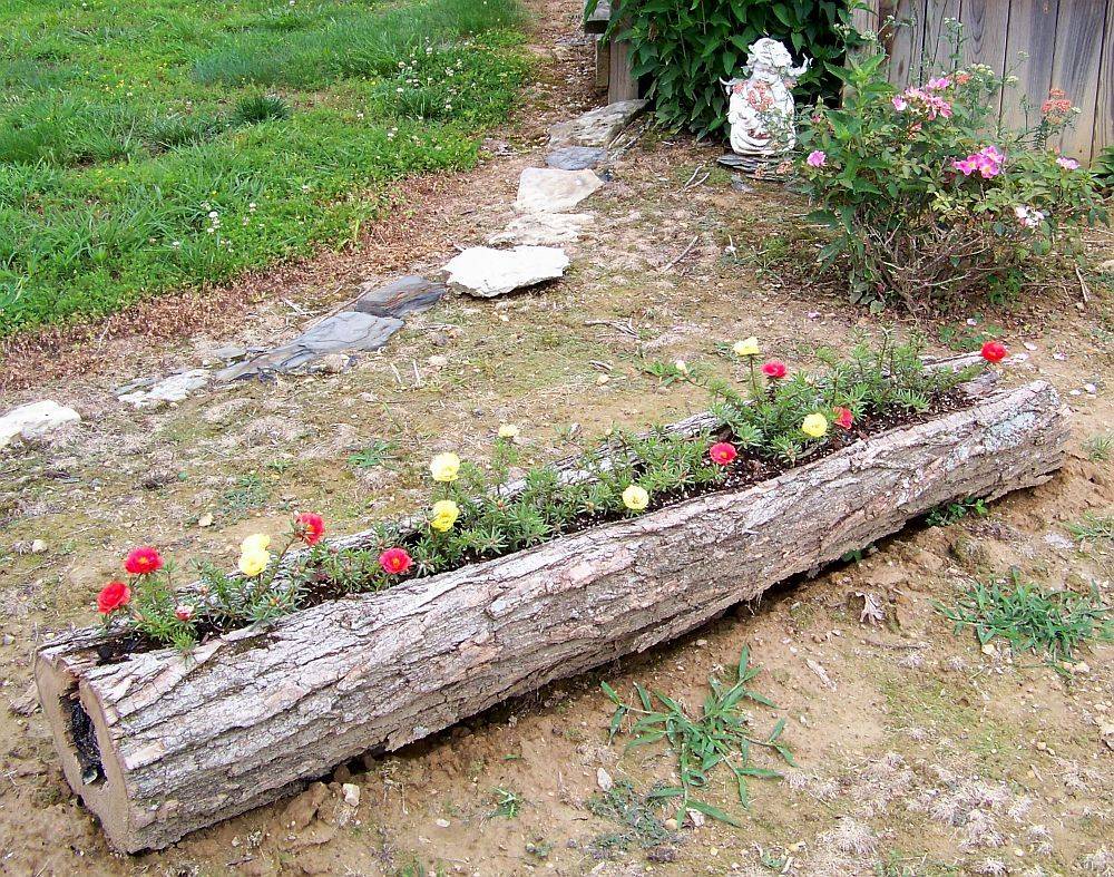 21 Log Garden Bed Ideas You Gonna Love | SharonSable