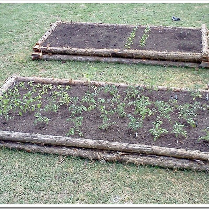 21 Log Garden Bed Ideas You Gonna Love | SharonSable