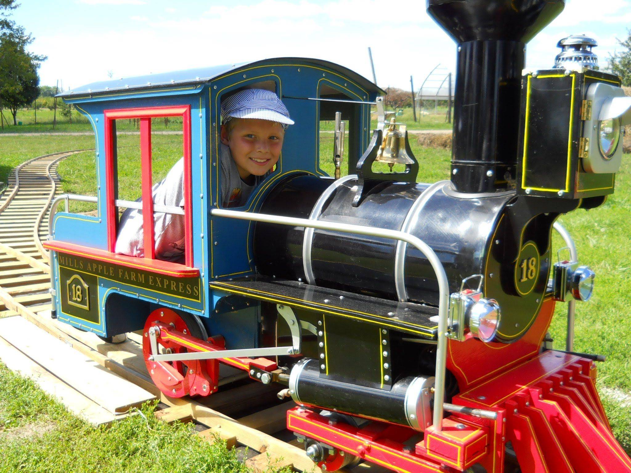 22 Garden Train Wood Ideas You Should Look | SharonSable