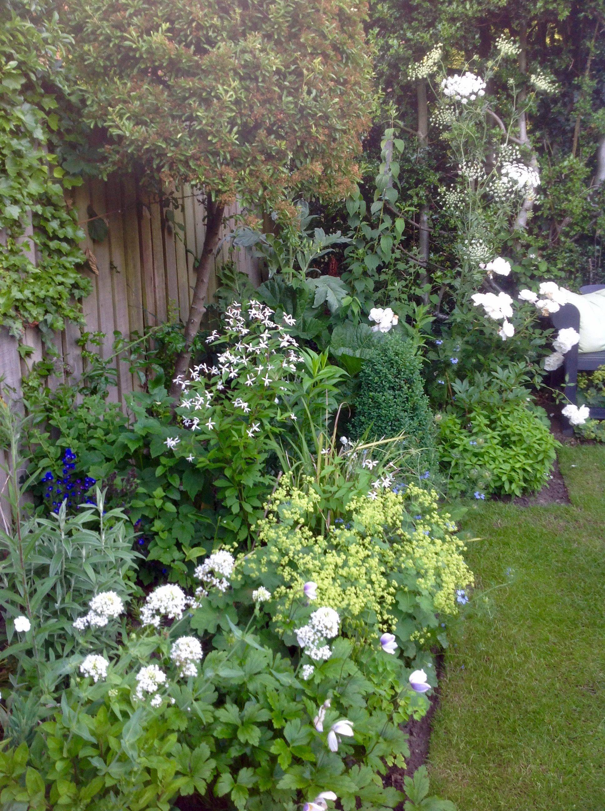 21 Blue and White Garden Ideas To Consider | SharonSable