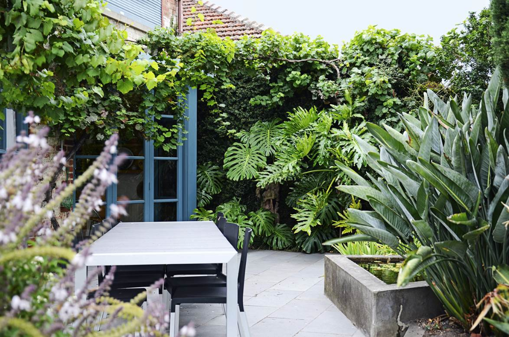 19 Inner City Garden Ideas You Should Check | SharonSable