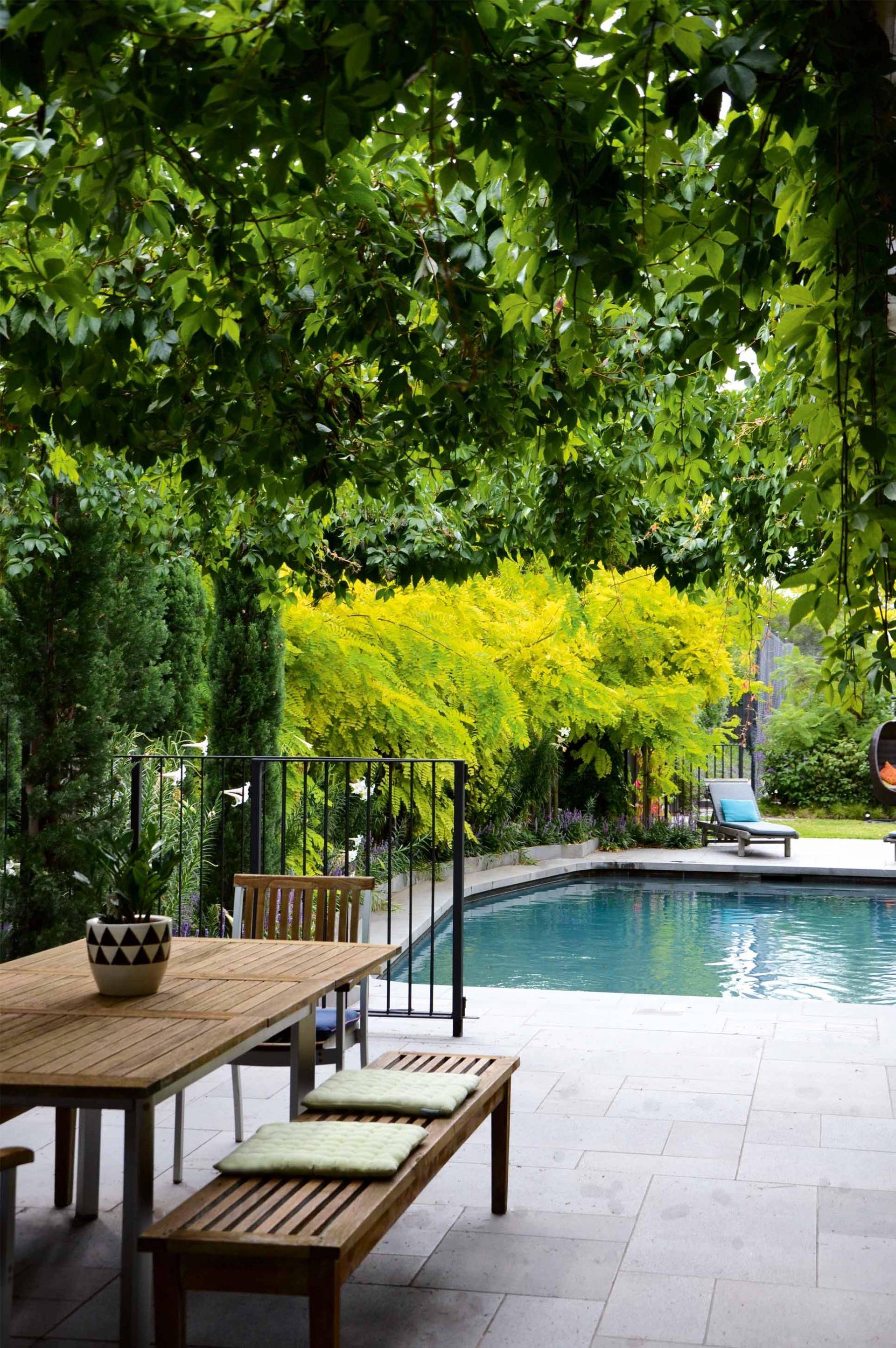 19 Inner City Garden Ideas You Should Check | SharonSable