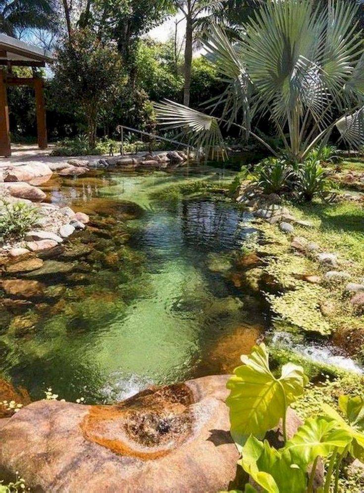 22 Natural Water Garden Ideas You Should Check | SharonSable