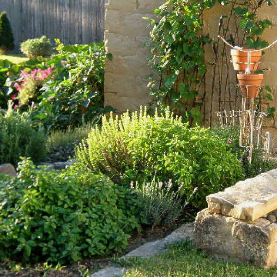 23 Minimalist Herb Garden Ideas For This Year | SharonSable