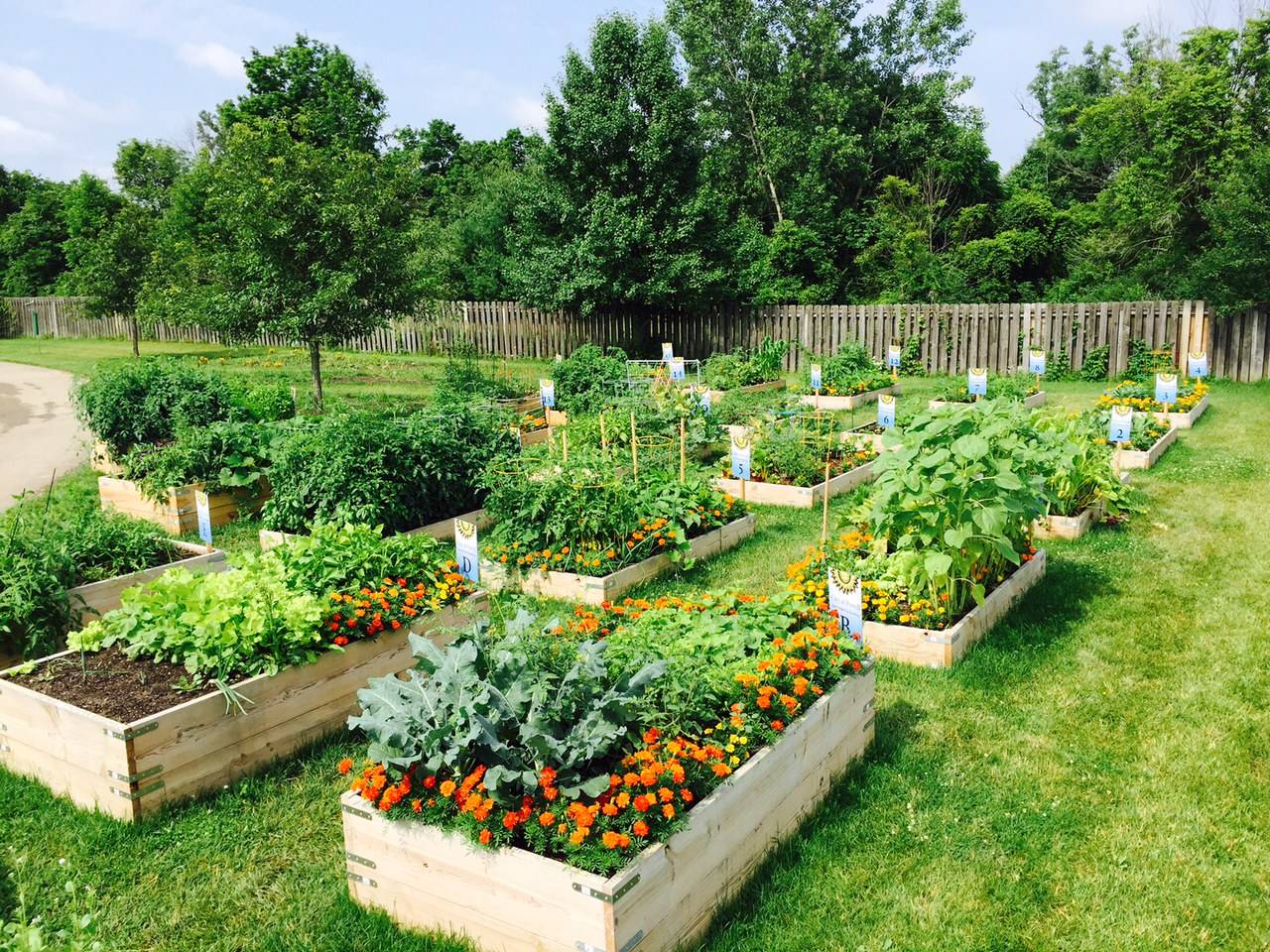 20 Modern Community Garden Ideas You Cannot Miss | SharonSable