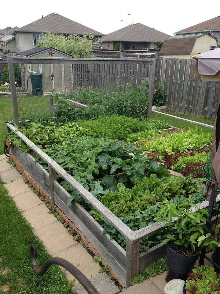 21 Community Garden Raised Beds Ideas To Try This Year | SharonSable