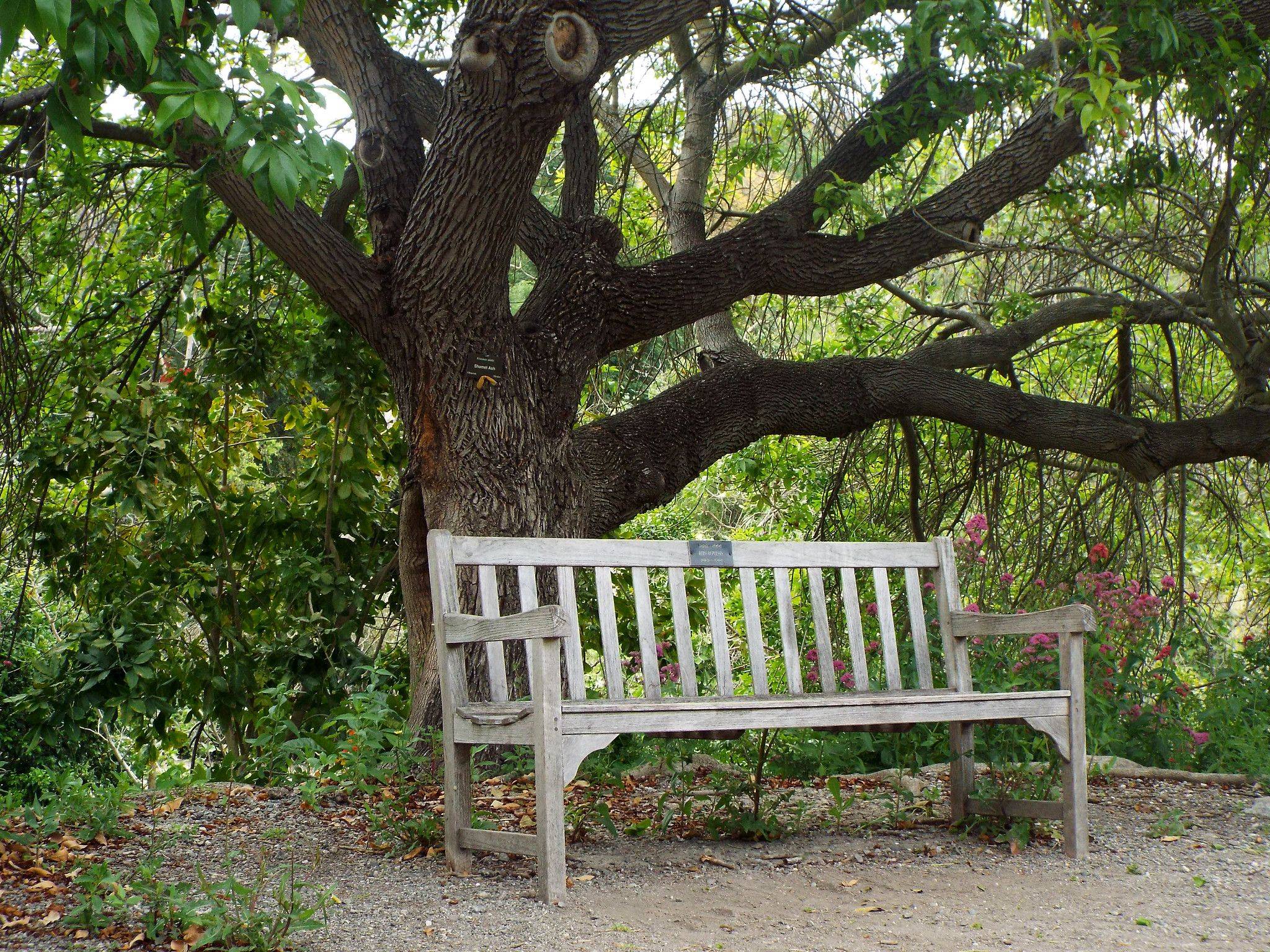 19 Spring Garden Bench Ideas You Gonna Love | SharonSable
