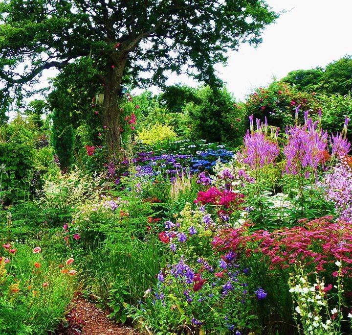 17 Corner Cottage Garden Ideas Worth a Look | SharonSable