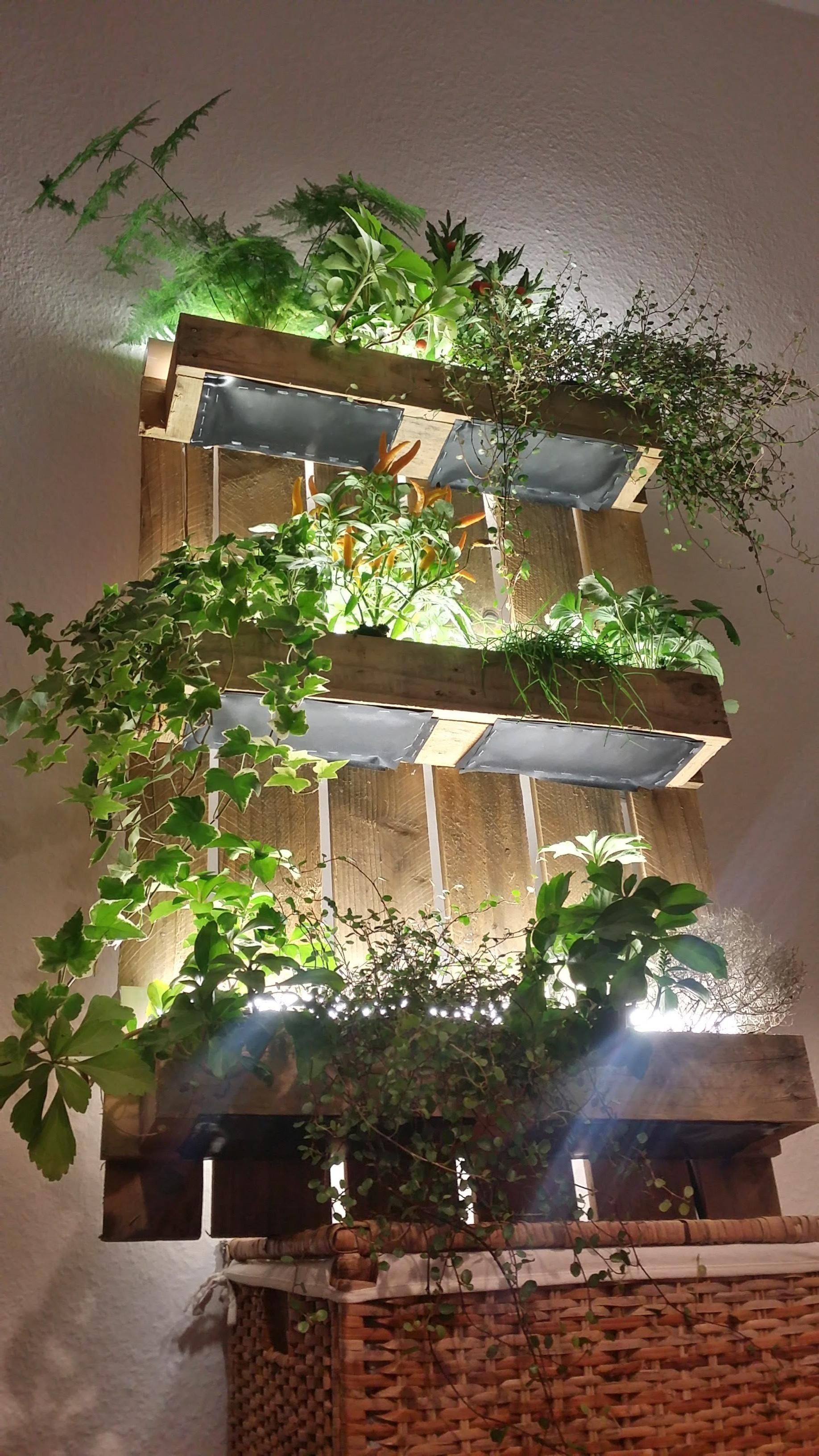 24 Herb Garden Pallet Walls Ideas You Should Look | SharonSable