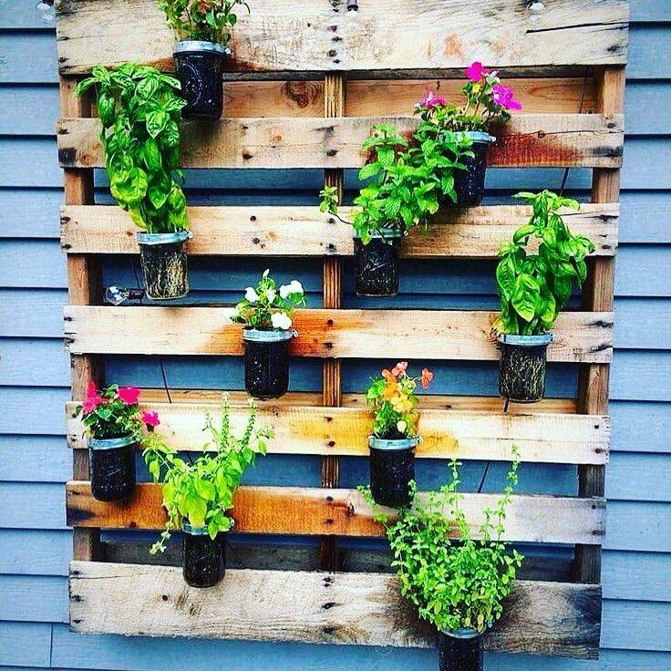 24 Herb Garden Pallet Walls Ideas You Should Look | SharonSable