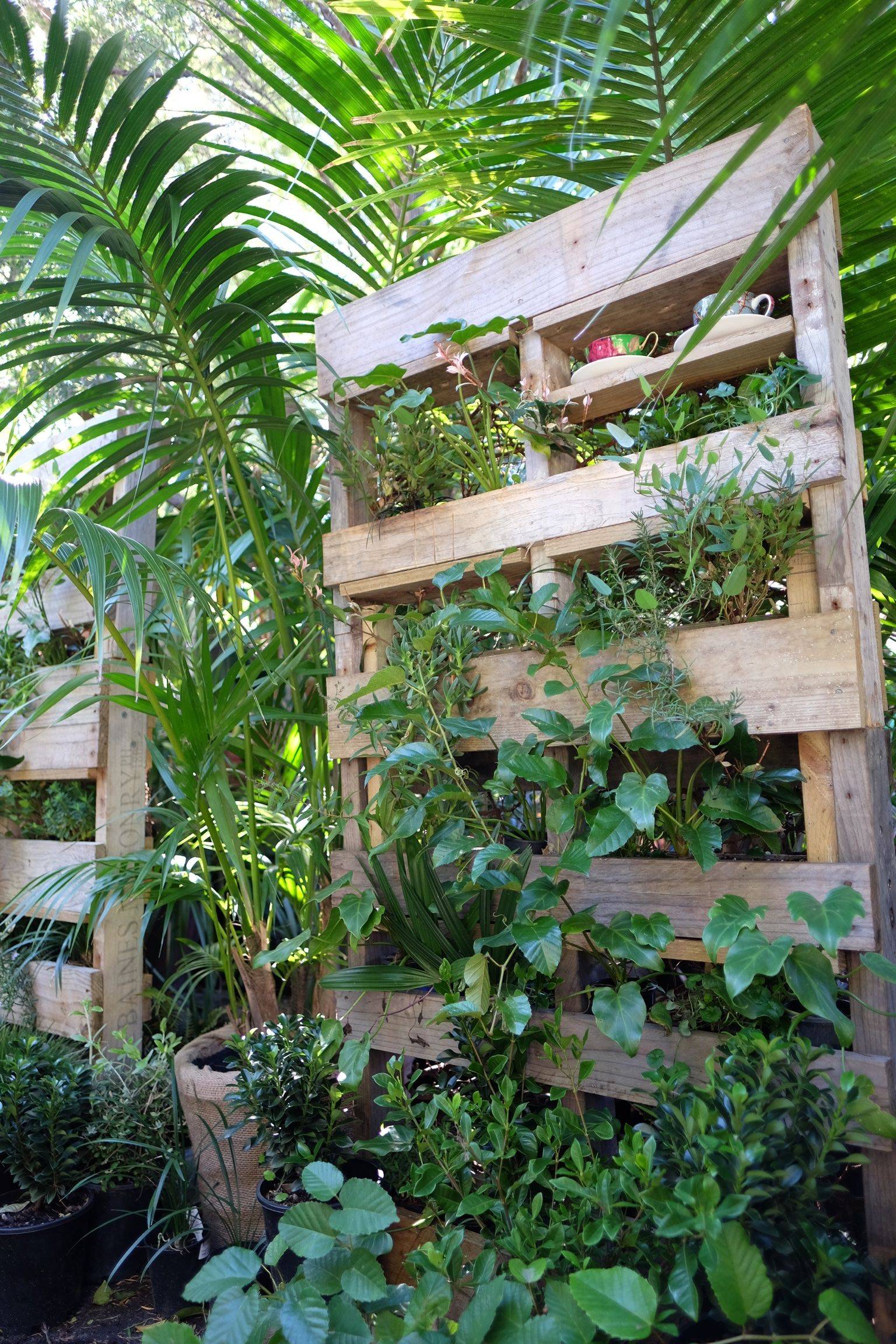 24 Herb Garden Pallet Walls Ideas You Should Look | SharonSable