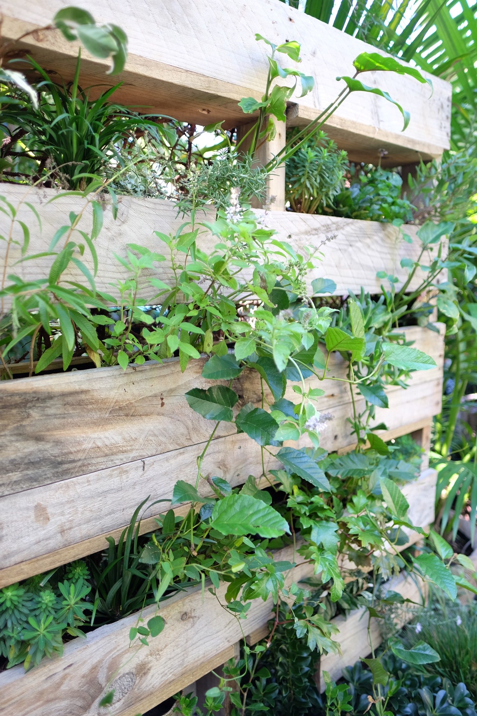24 Herb Garden Pallet Walls Ideas You Should Look | SharonSable