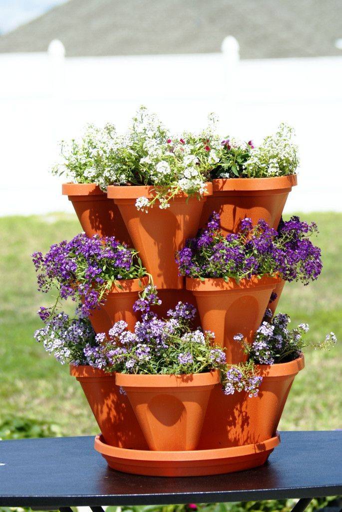 23 Tiered Herb Garden Planter Ideas For This Year | SharonSable