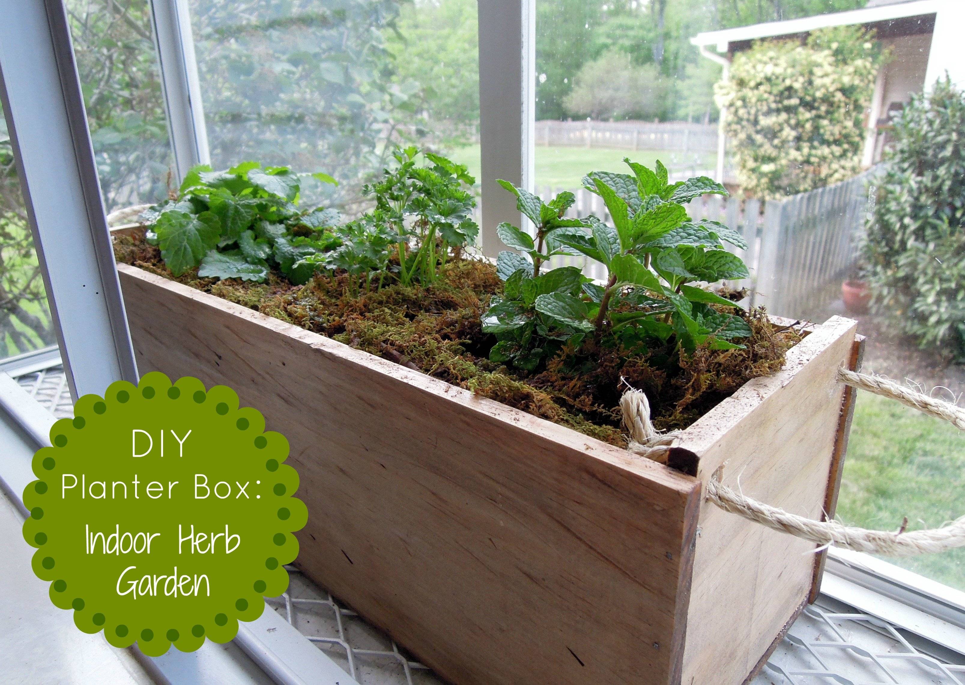 21 Kitchen Herb Garden Planter Box Ideas You Must Look | SharonSable