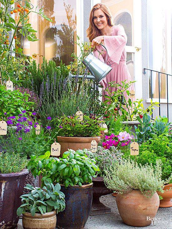 24 Herbal Flower Garden Ideas To Consider | SharonSable
