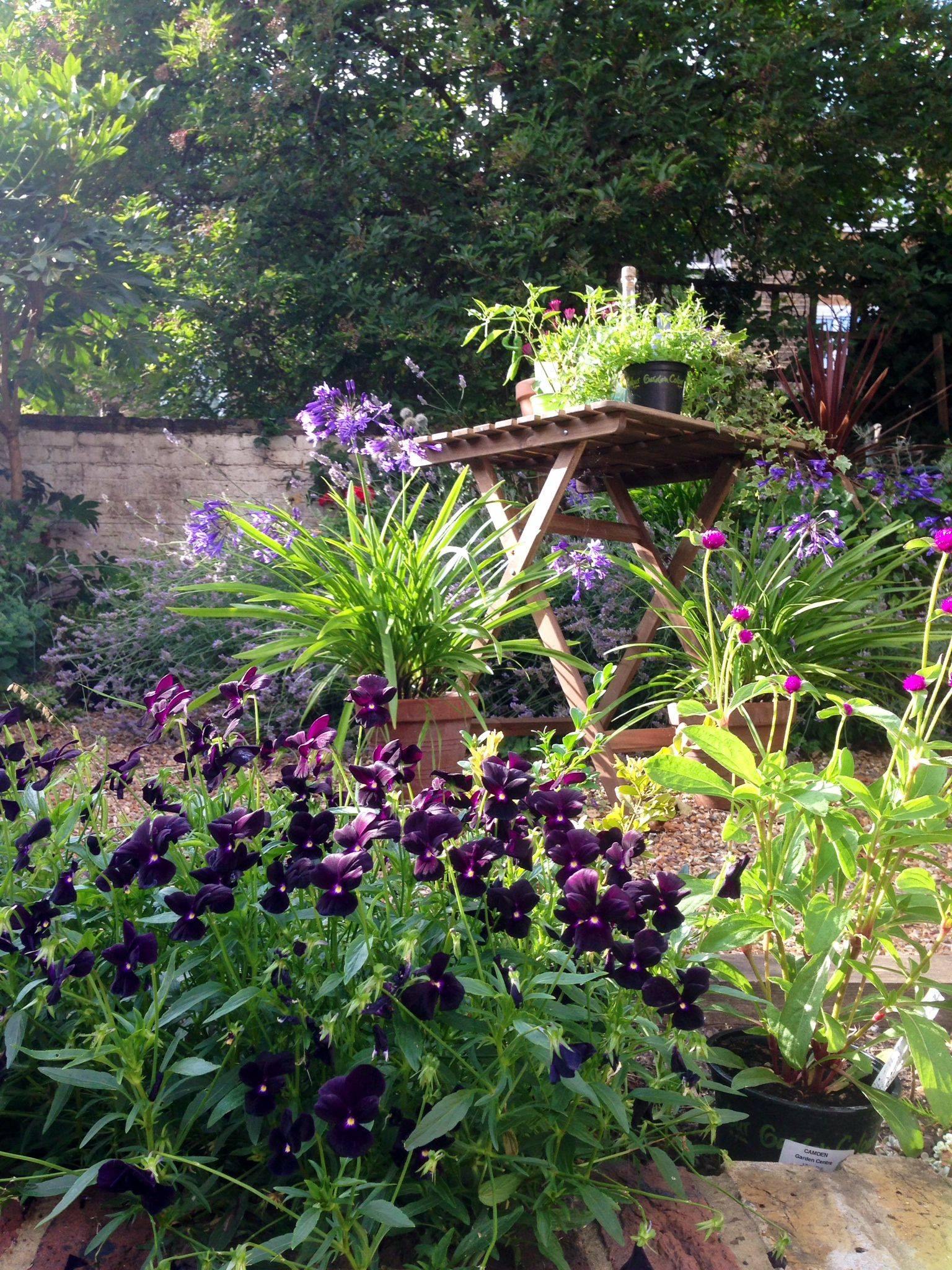 23 Biblical Garden Ideas You Should Look | SharonSable