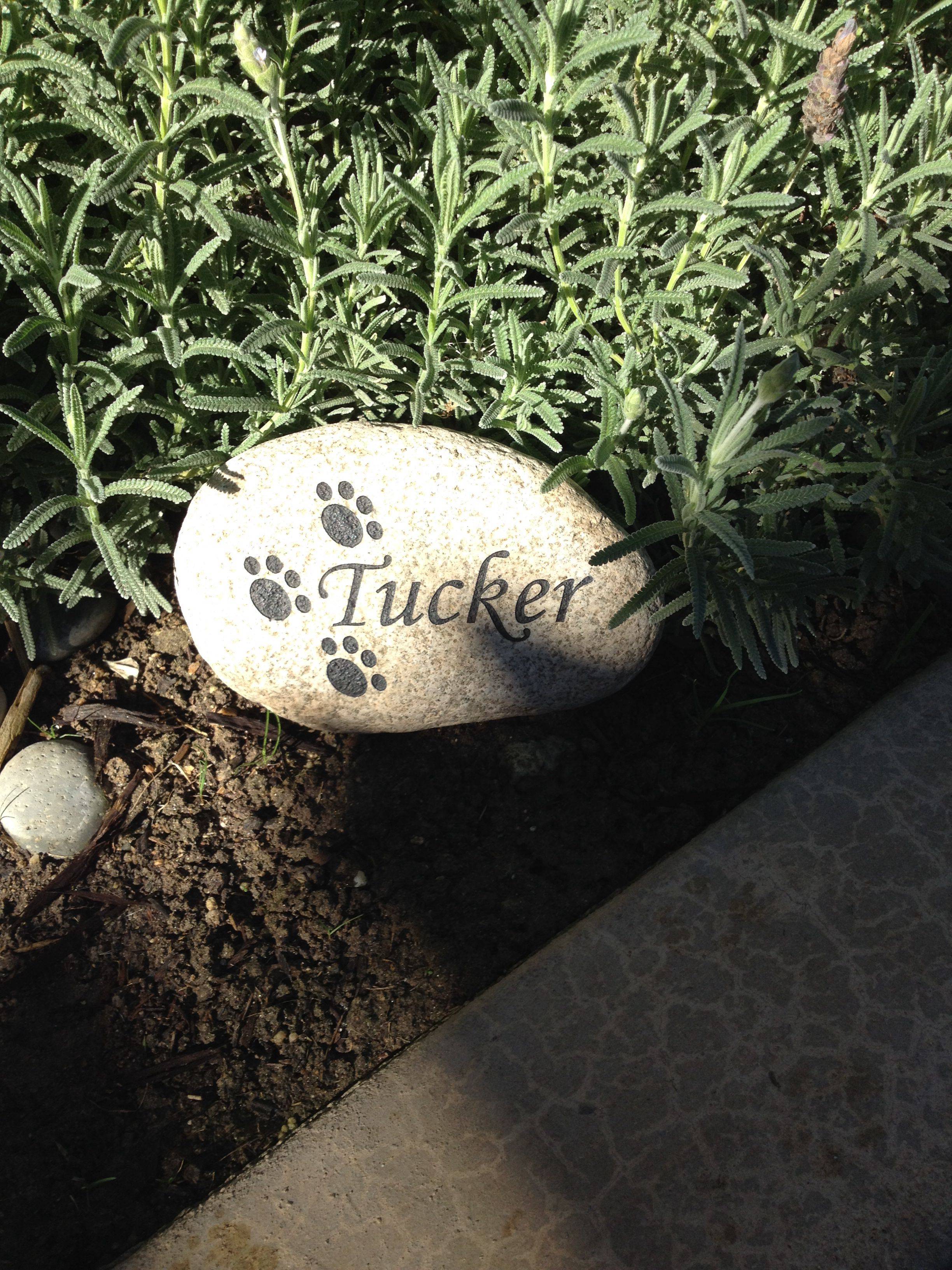 13 Memory Garden Memorial Stone Ideas You Cannot Miss | SharonSable