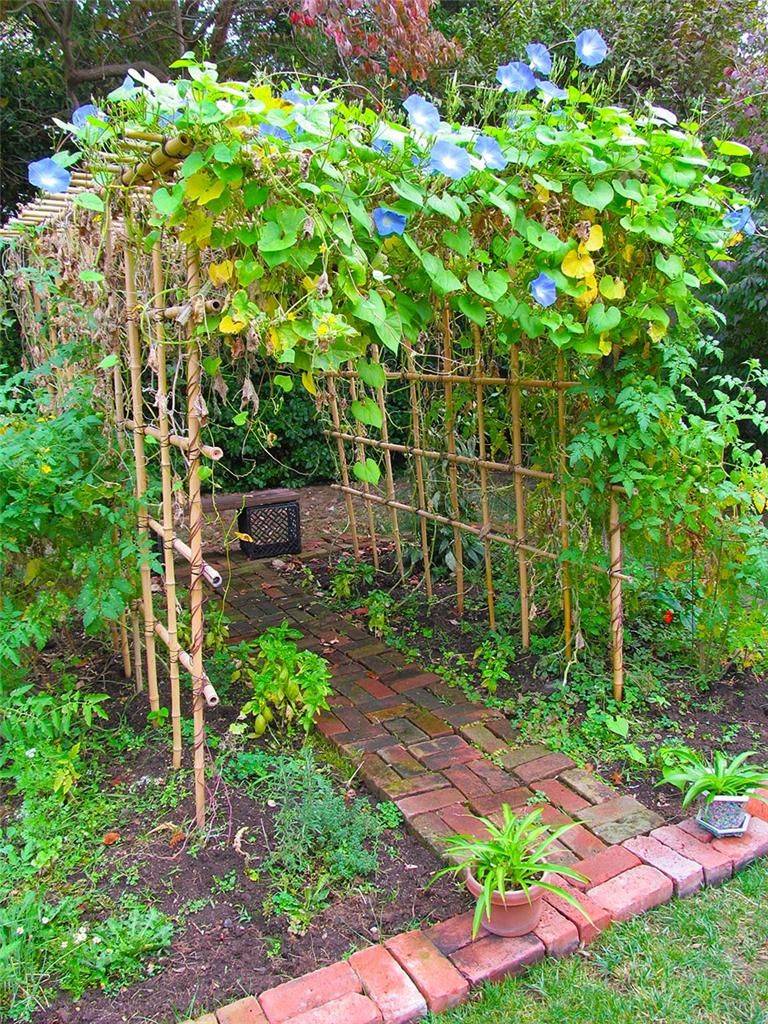 22 Bamboo Trellis Garden Arch Ideas Worth a Look | SharonSable