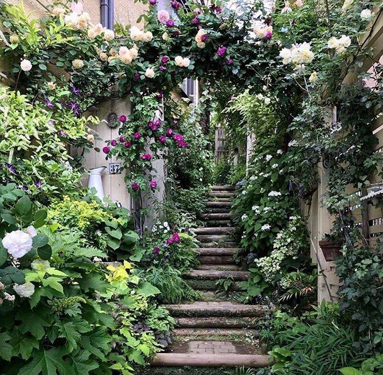 22 Medieval Rose Garden Ideas You Should Check | SharonSable