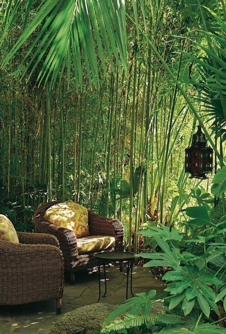 19 Bamboo Garden Ideas To Consider | SharonSable