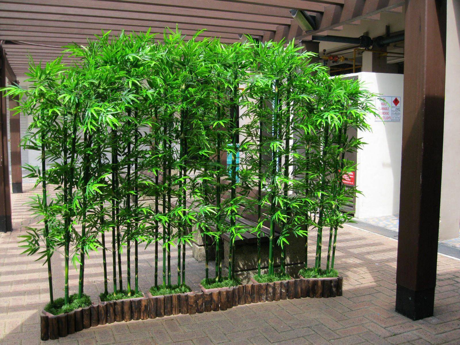 19 Bamboo Garden Ideas To Consider | SharonSable