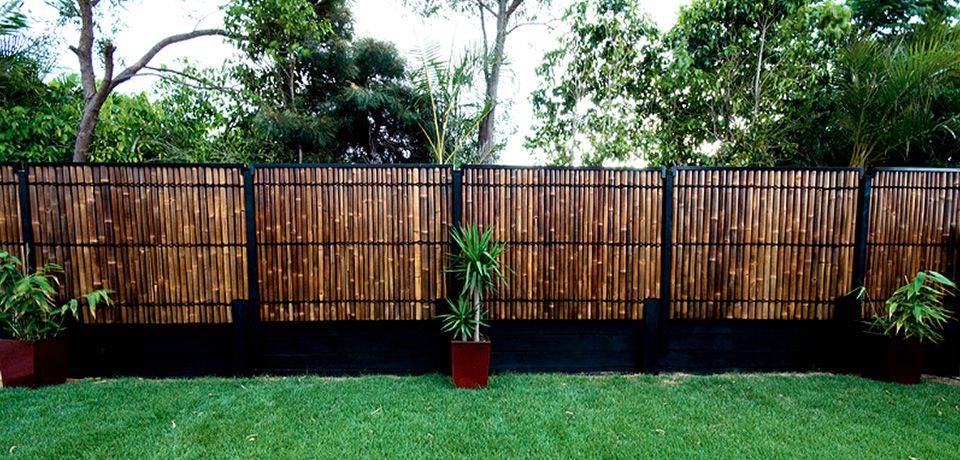 22 Bamboo Garden Screen Ideas You Must Look | SharonSable