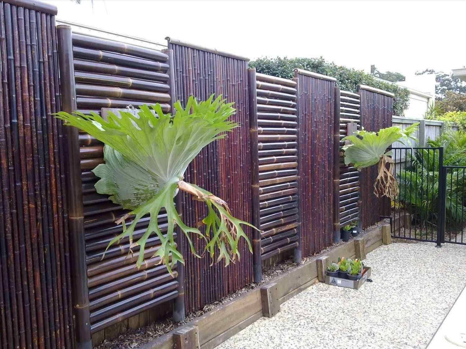 22 Bamboo Garden Screen Ideas You Must Look | SharonSable