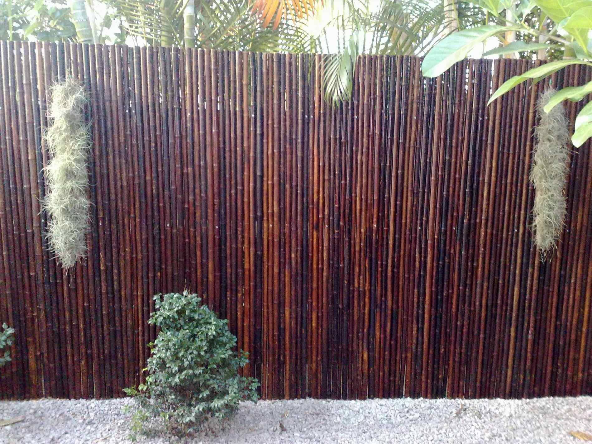 22 Bamboo Garden Screen Ideas You Must Look | SharonSable