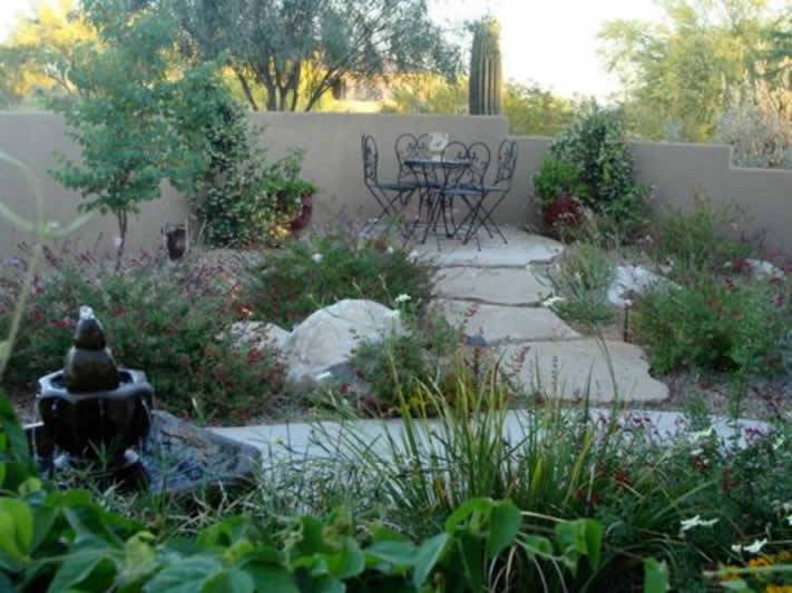 20 Tucson Garden Ideas Worth a Look | SharonSable