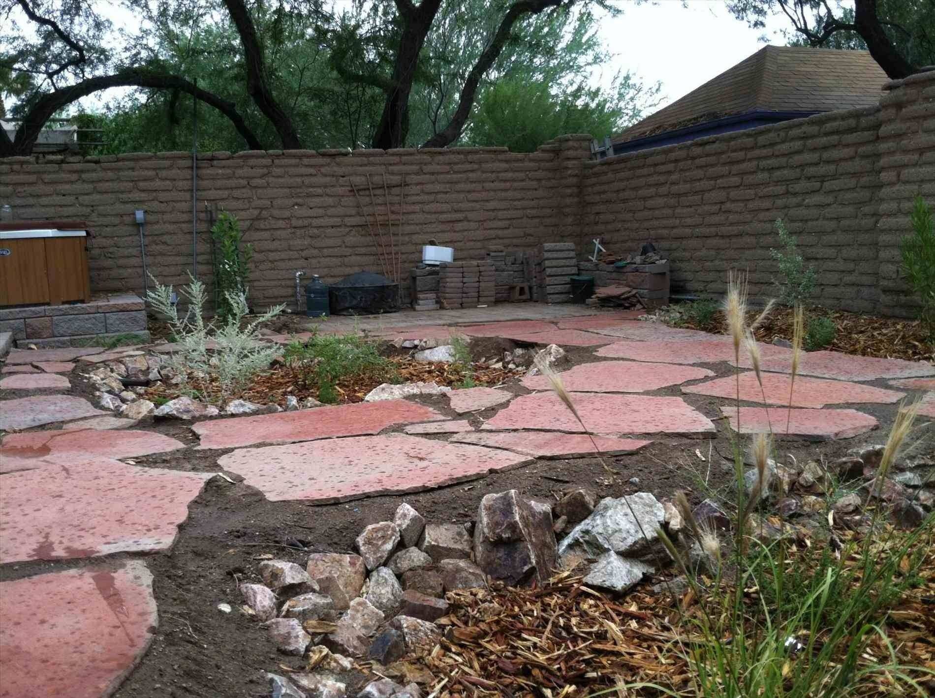 20 Tucson Garden Ideas Worth a Look | SharonSable