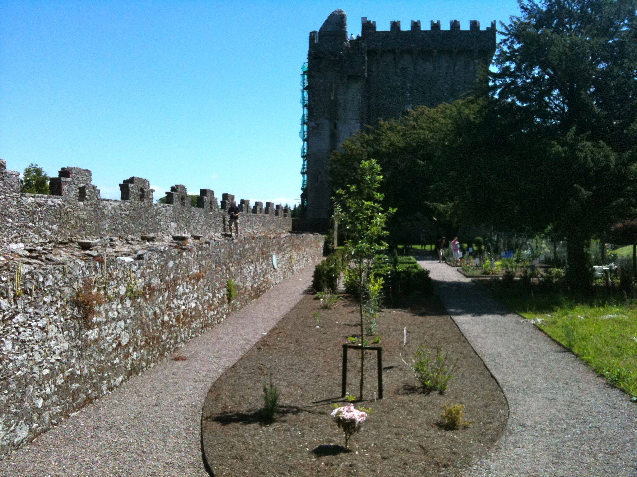 19 Blarney Castle Poison Garden Ideas You Must Look | SharonSable