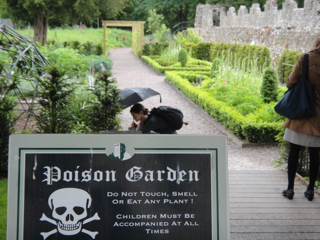 19 Blarney Castle Poison Garden Ideas You Must Look | SharonSable