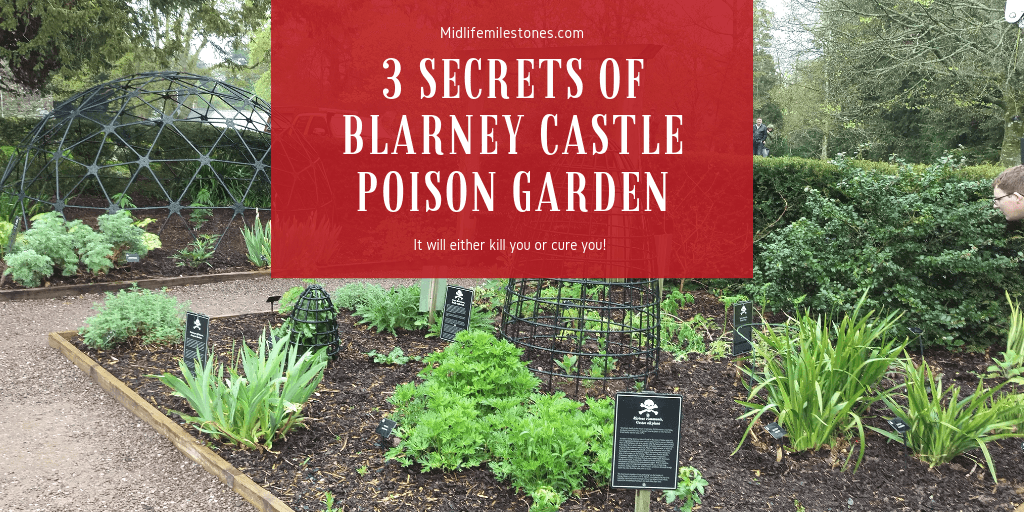 19 Blarney Castle Poison Garden Ideas You Must Look | SharonSable