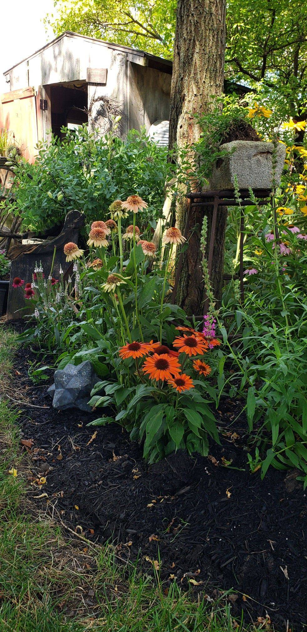 21 Primitive Farmhouse Garden Ideas You Must Look | SharonSable