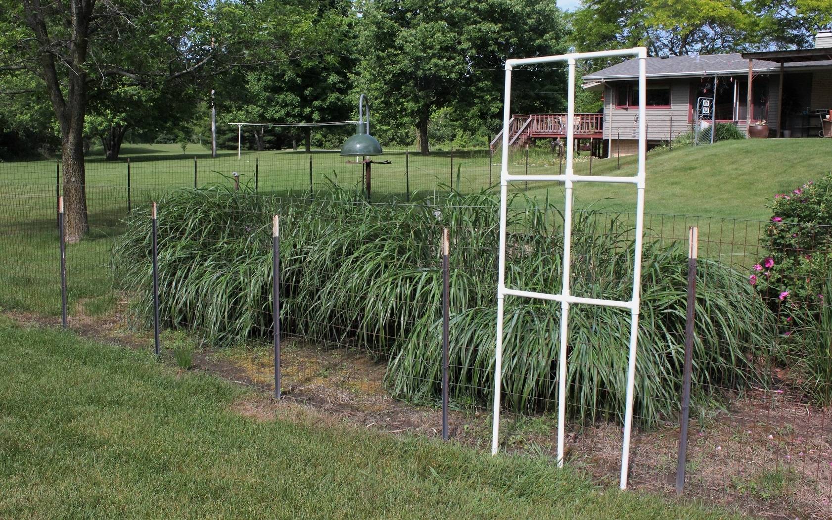 18 Garden Trellis with PVC Pipe Ideas To Consider | SharonSable