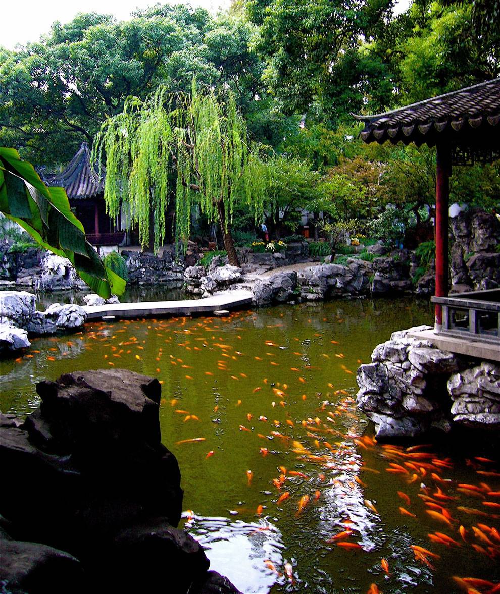 23 Famous Chinese Garden Ideas To Consider | SharonSable