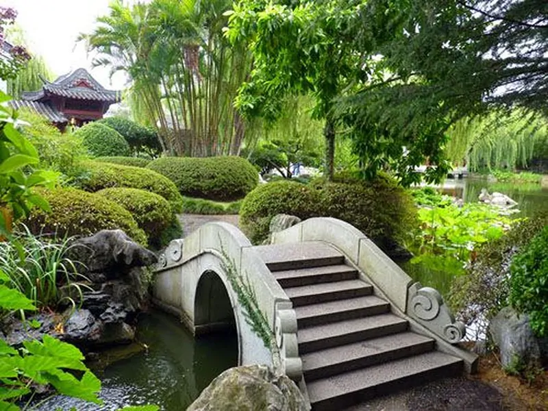 20 Chinese Garden Singapore Ideas To Consider | SharonSable